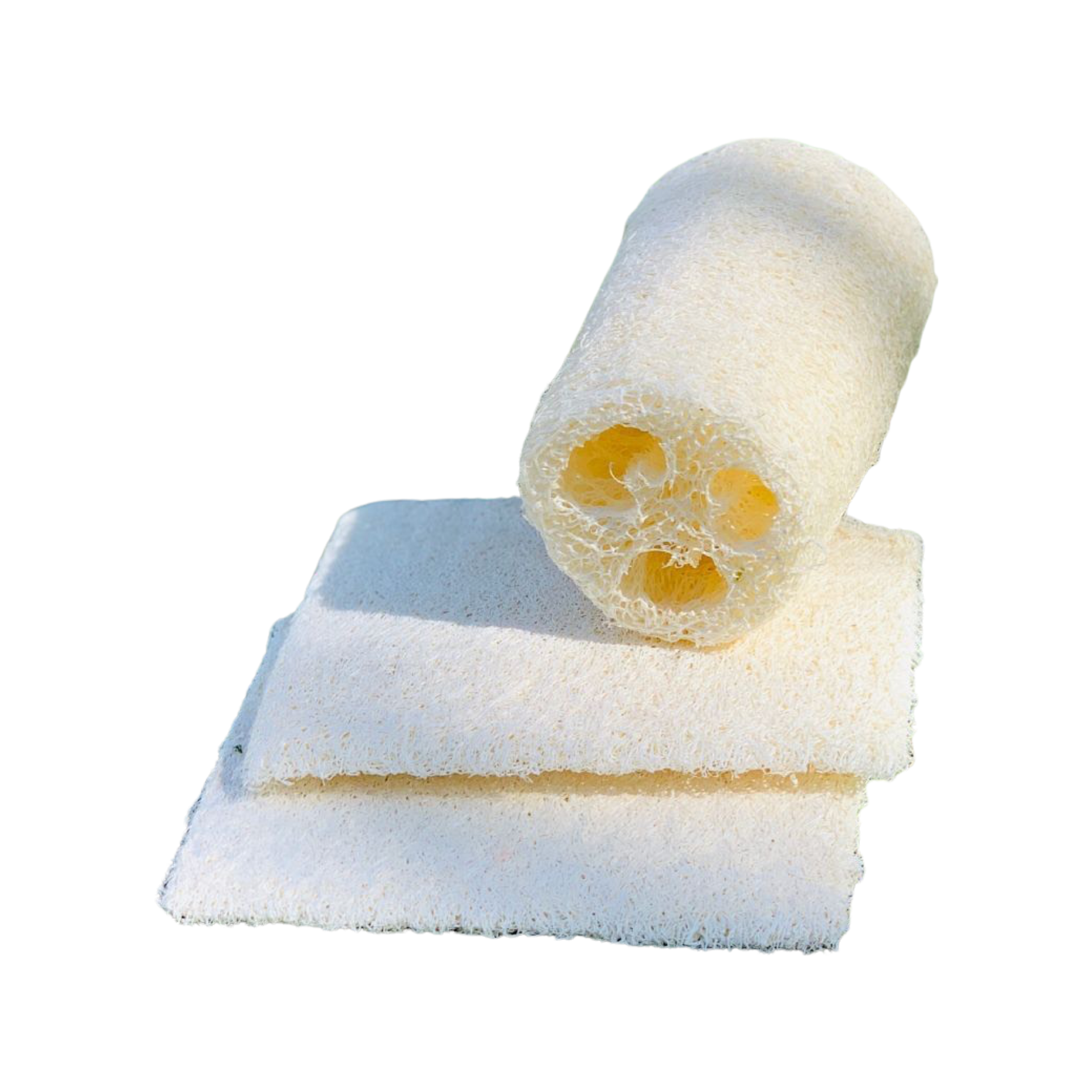 Body Luffa Loofah – SknFolks